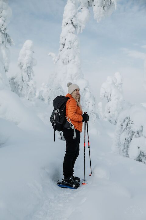 Best Hike in Ruka Finland - Valtavaara Winter Trail - In the Woods, Dear