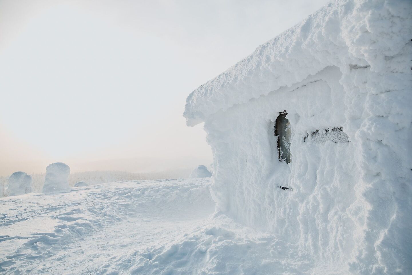 Best Hike in Ruka Finland - Valtavaara Winter Trail - In the Woods, Dear