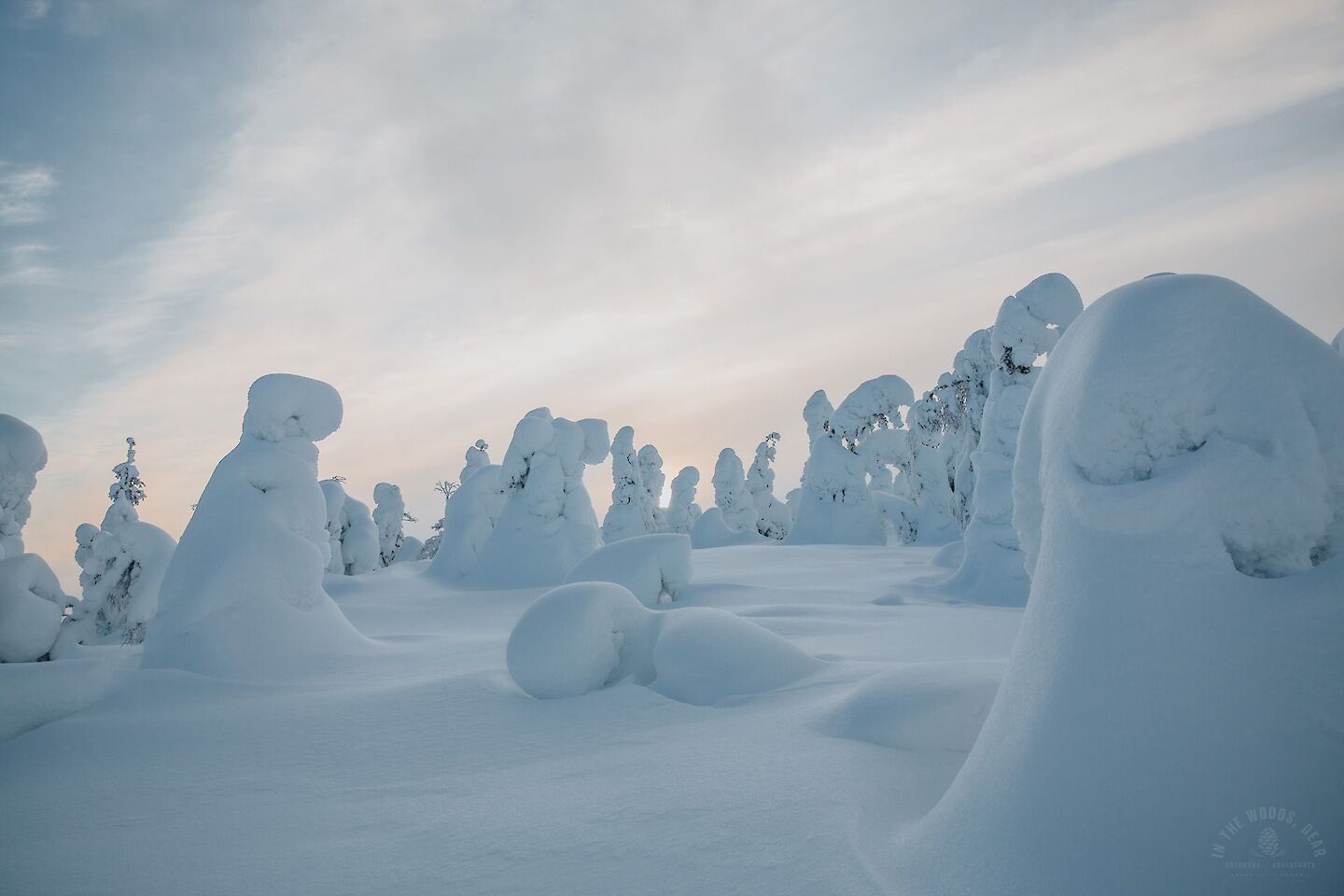 Best Hike in Ruka Finland - Valtavaara Winter Trail - In the Woods, Dear