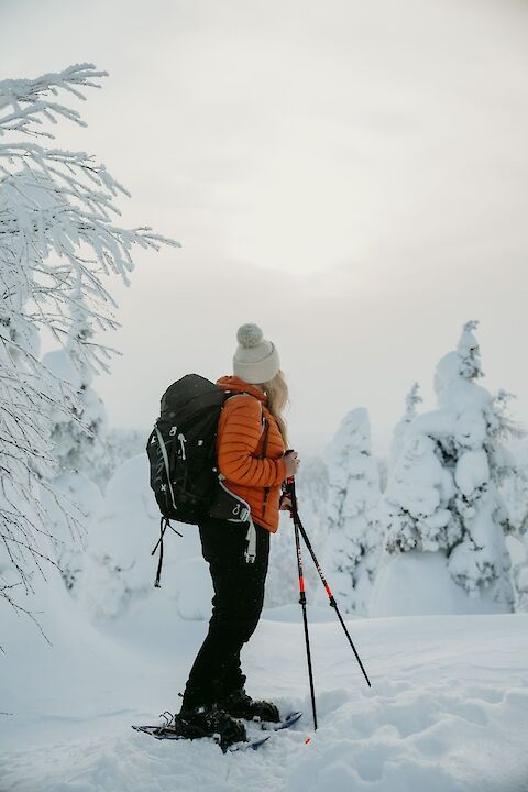 Best Hike in Ruka Finland - Valtavaara Winter Trail - In the Woods, Dear