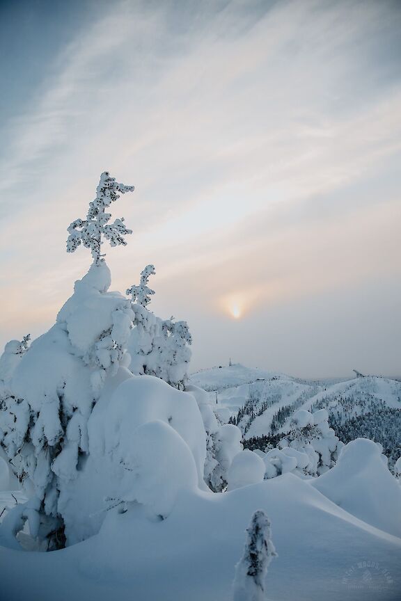 Best Hike in Ruka Finland - Valtavaara Winter Trail - In the Woods, Dear