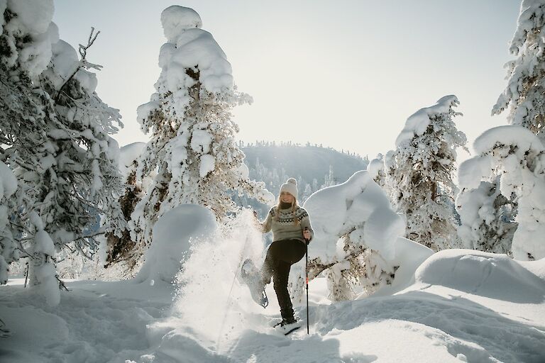Ruka Finland - Pyhävaara Winter Hike - In the Woods, Dear