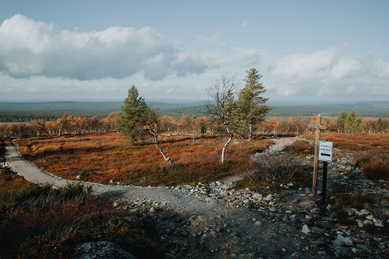 Hetta-Pallas Hike in Lapland - Aurora & Autumn Foliage - In the Woods, Dear