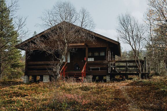 Hetta-Pallas Hike in Lapland - Aurora & Autumn Foliage - In the Woods, Dear