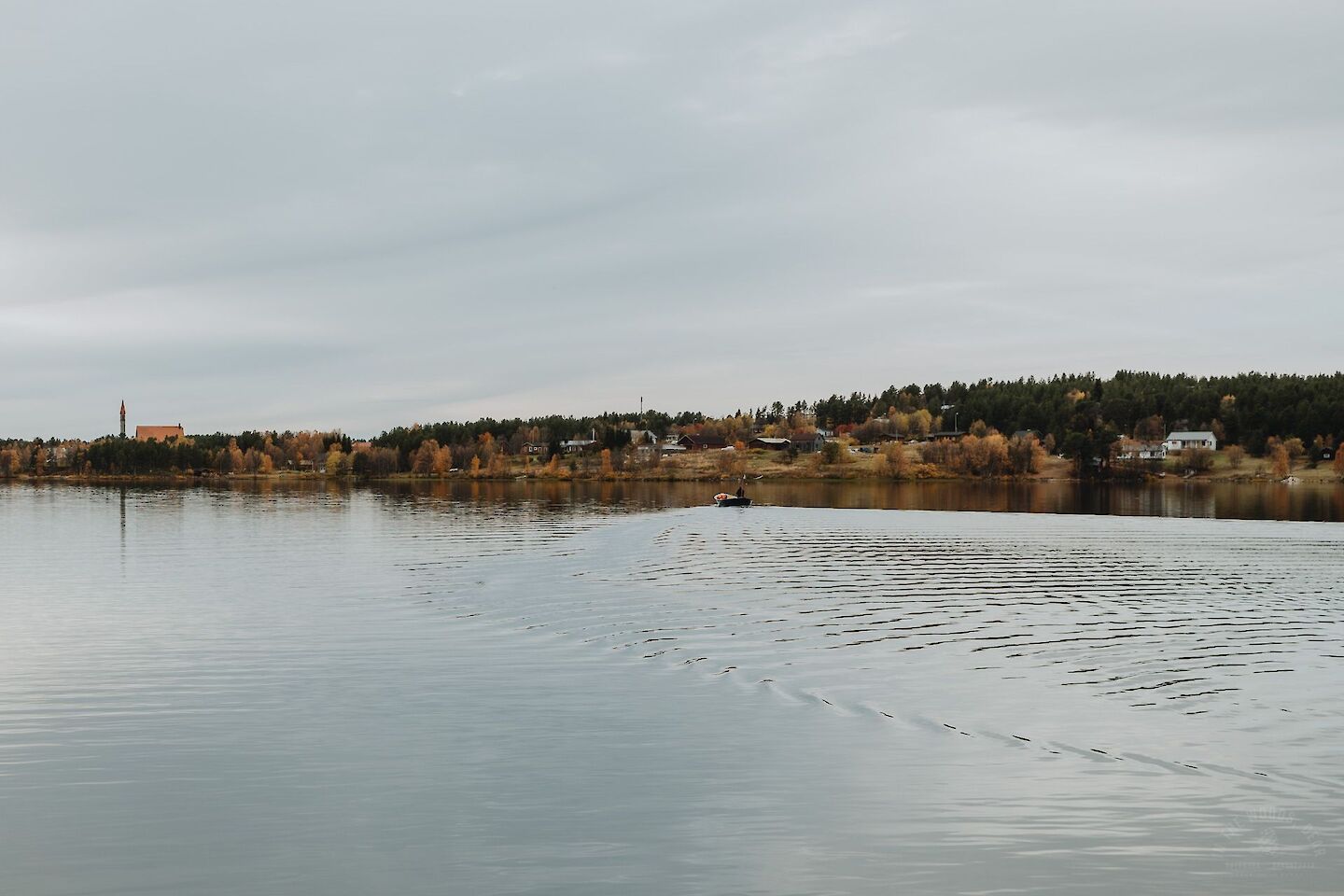 Hetta-Pallas Hike in Lapland - Aurora & Autumn Foliage - In the Woods, Dear