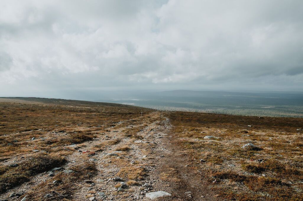 Hetta-Pallas Hike in Lapland - Aurora & Autumn Foliage - In the Woods, Dear