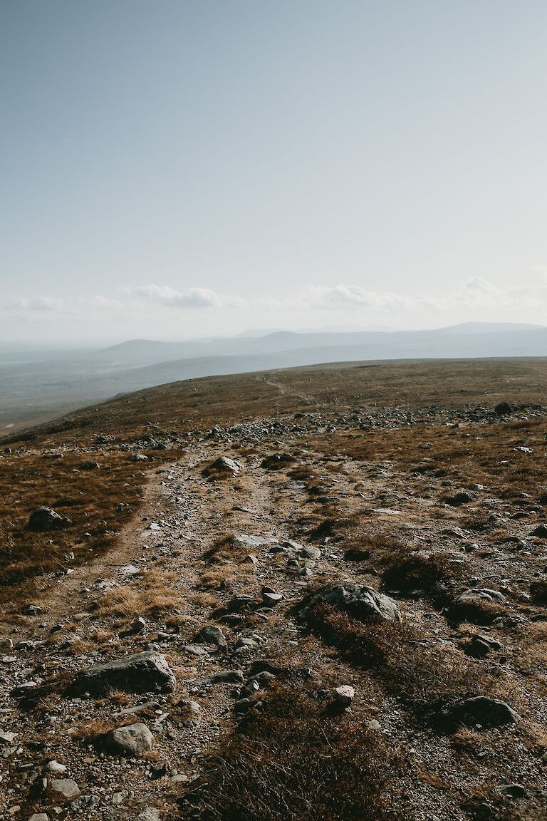 Hetta-Pallas Hike in Lapland - Aurora & Autumn Foliage - In the Woods, Dear