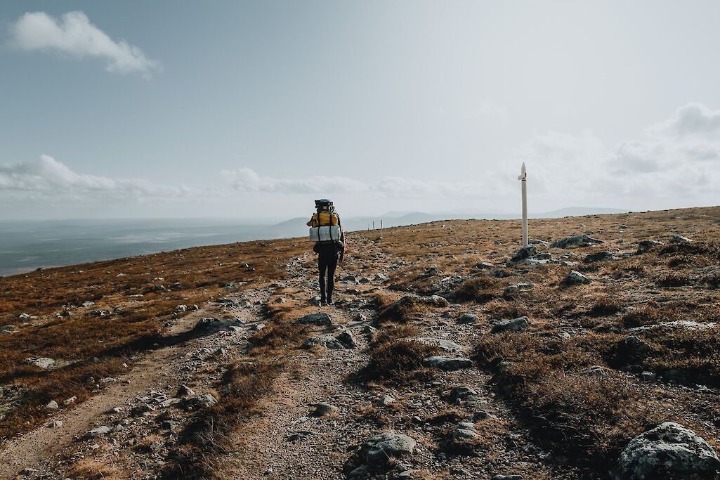 Hetta-Pallas Hike in Lapland - Aurora & Autumn Foliage - In the Woods, Dear