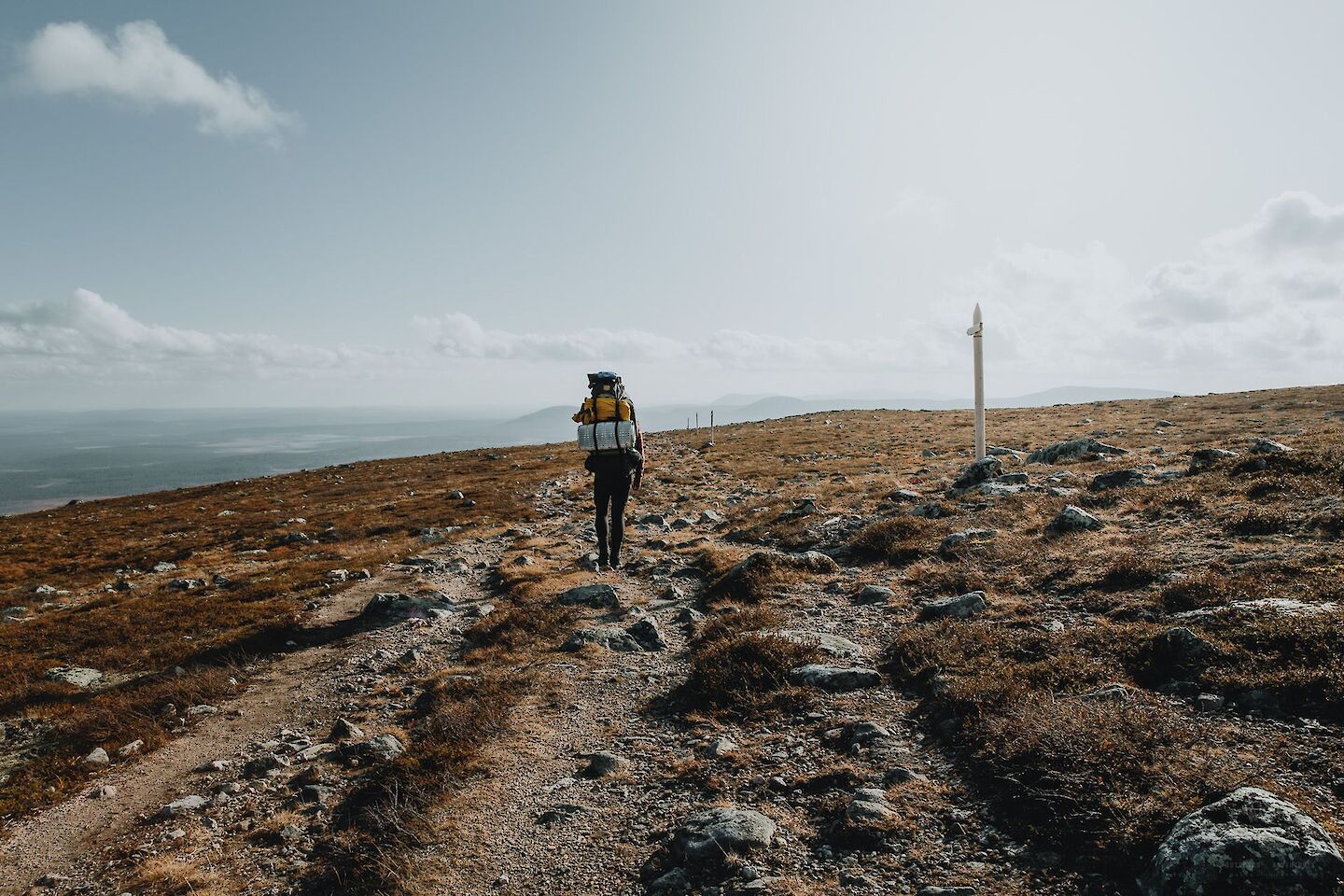 Hetta-Pallas Hike in Lapland - Aurora & Autumn Foliage - In the Woods, Dear