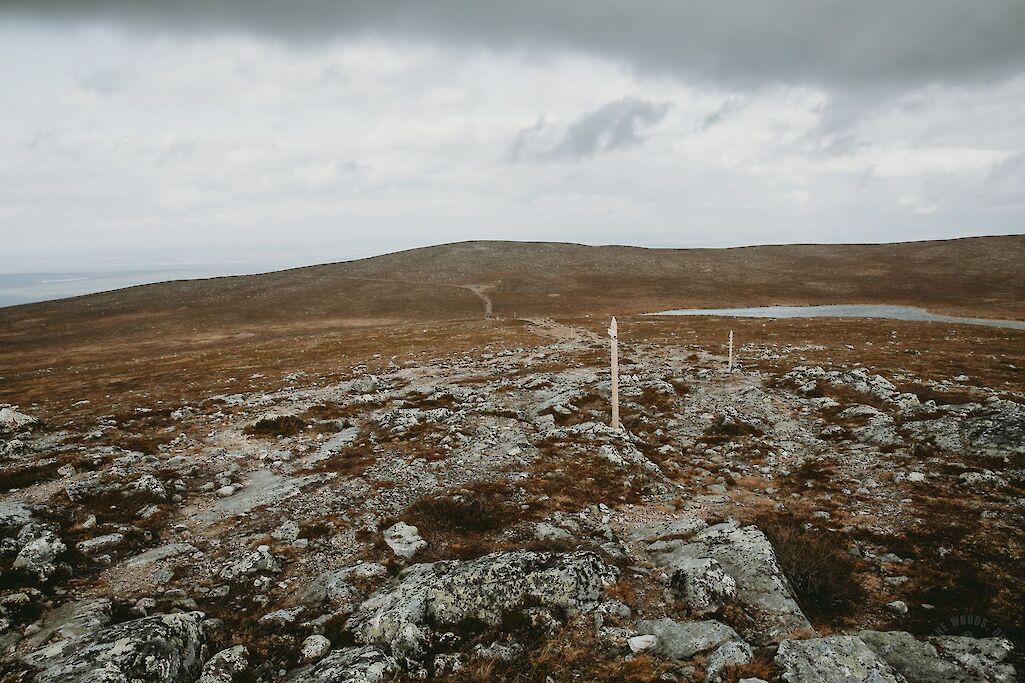 Hetta-Pallas Hike in Lapland - Aurora & Autumn Foliage - In the Woods, Dear