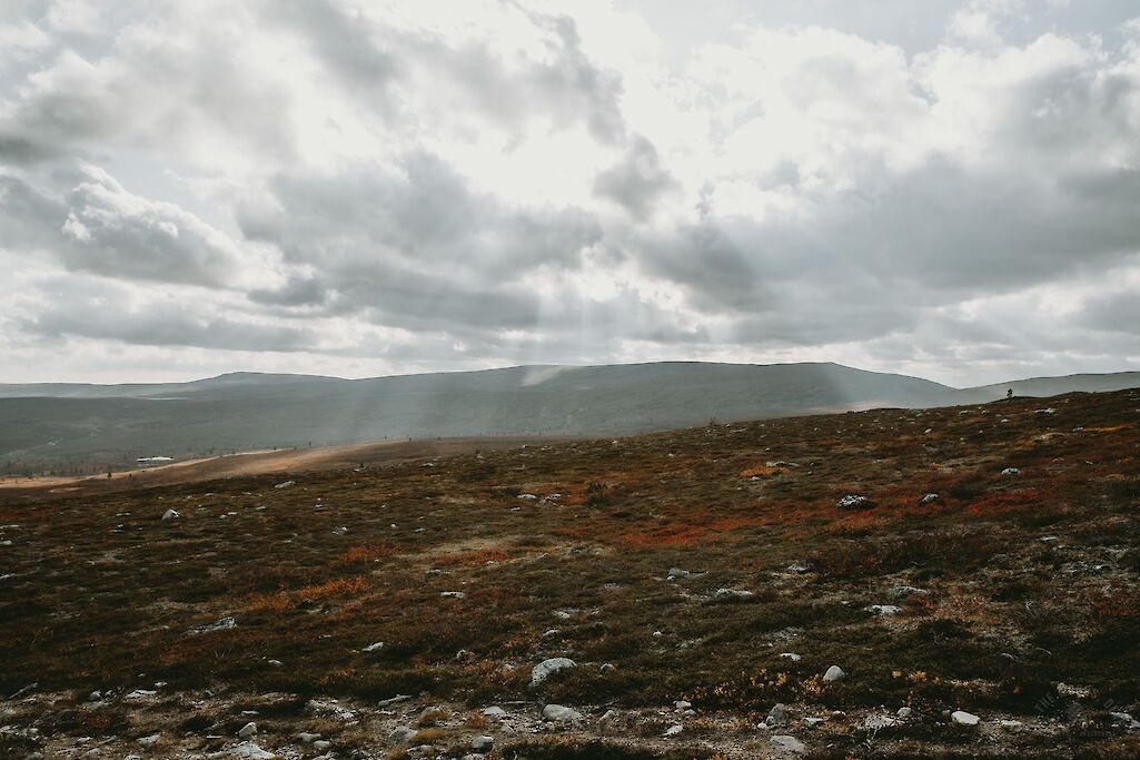 Hetta-Pallas Hike in Lapland - Aurora & Autumn Foliage - In the Woods, Dear