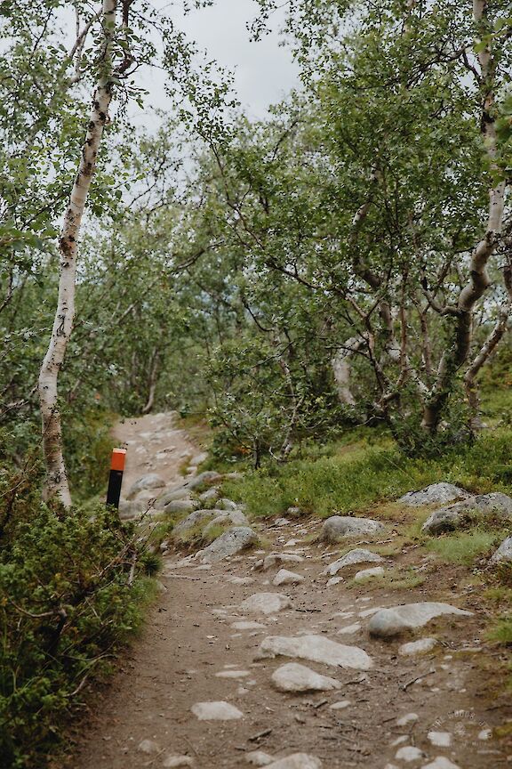 Mallan luonnonpuisto ja huikea Kitsiputous sykähdyttävät - In the Woods ...