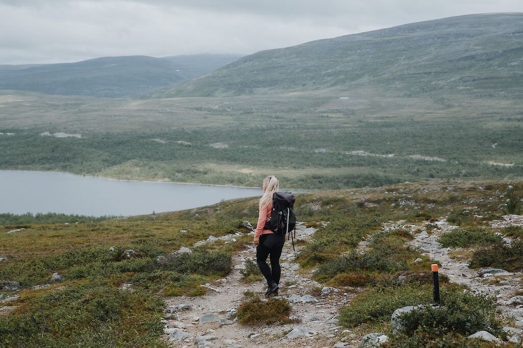 Mallan luonnonpuisto ja huikea Kitsiputous sykähdyttävät - In the Woods ...
