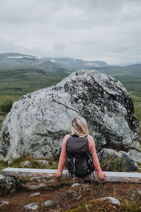 Mallan luonnonpuisto ja huikea Kitsiputous sykähdyttävät - In the Woods ...