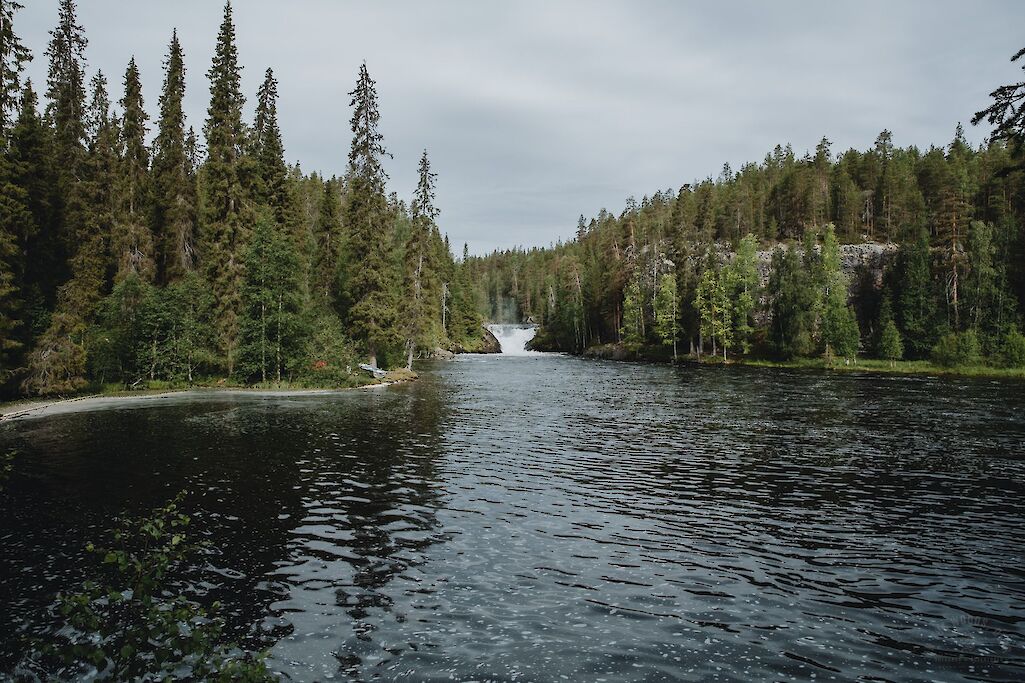 The 5 Best Hikes & Trails in Finland - In the Woods, Dear