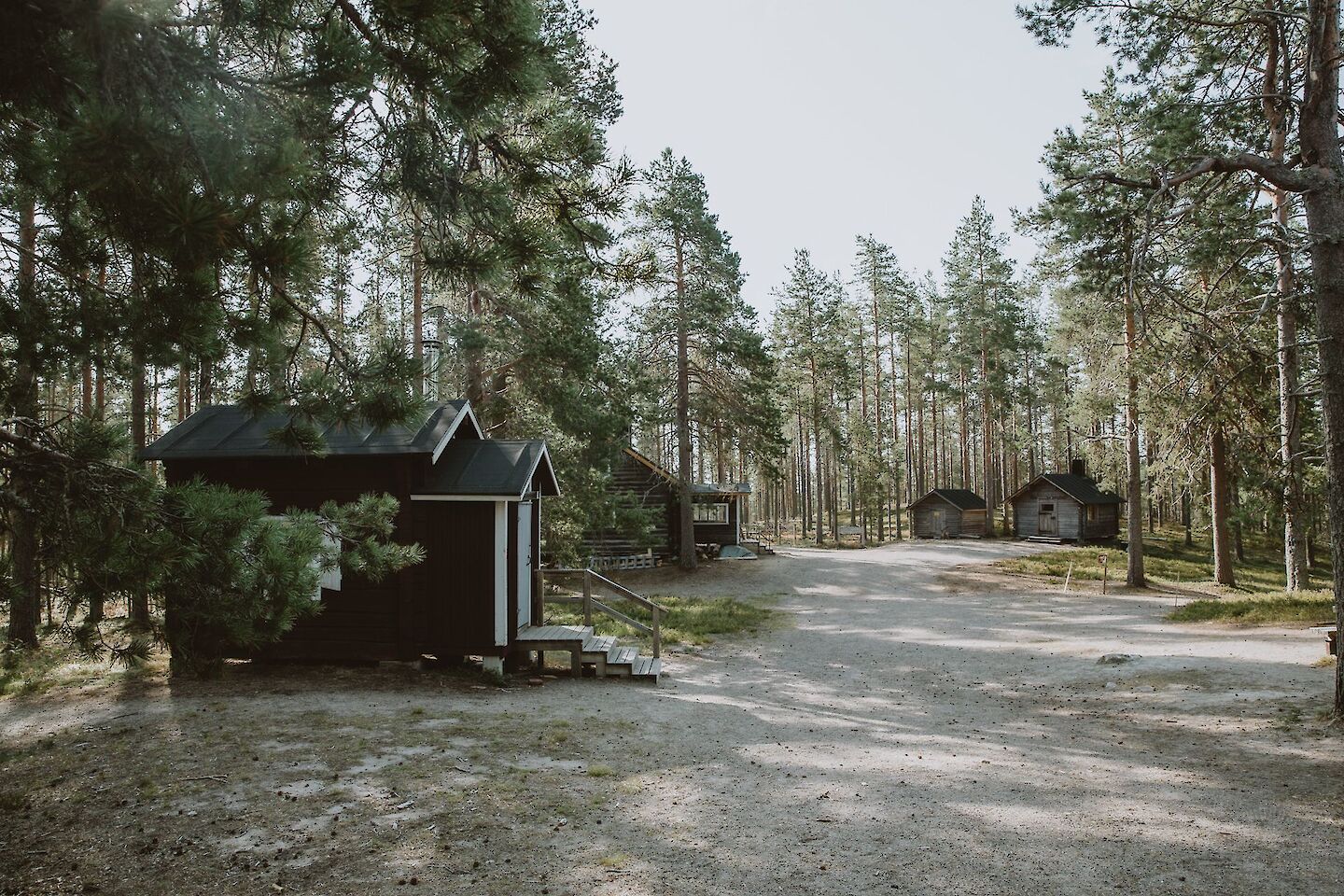 Explore Rokua National Park – Part of Finland’s UNESCO Geopark - In the ...