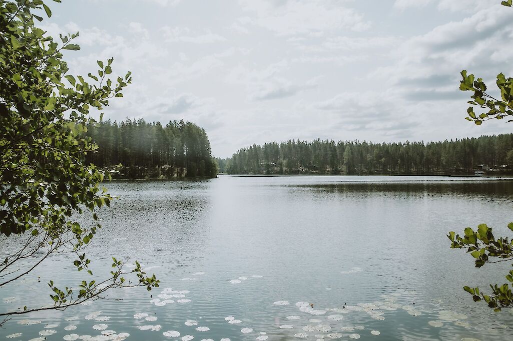 Explore Rokua National Park – Part of Finland’s UNESCO Geopark - In the ...