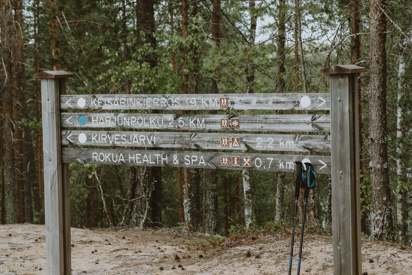 Explore Rokua National Park – Part of Finland’s UNESCO Geopark - In the ...