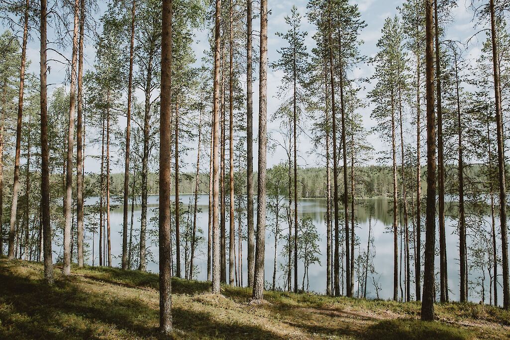 Explore Rokua National Park – Part of Finland’s UNESCO Geopark - In the ...