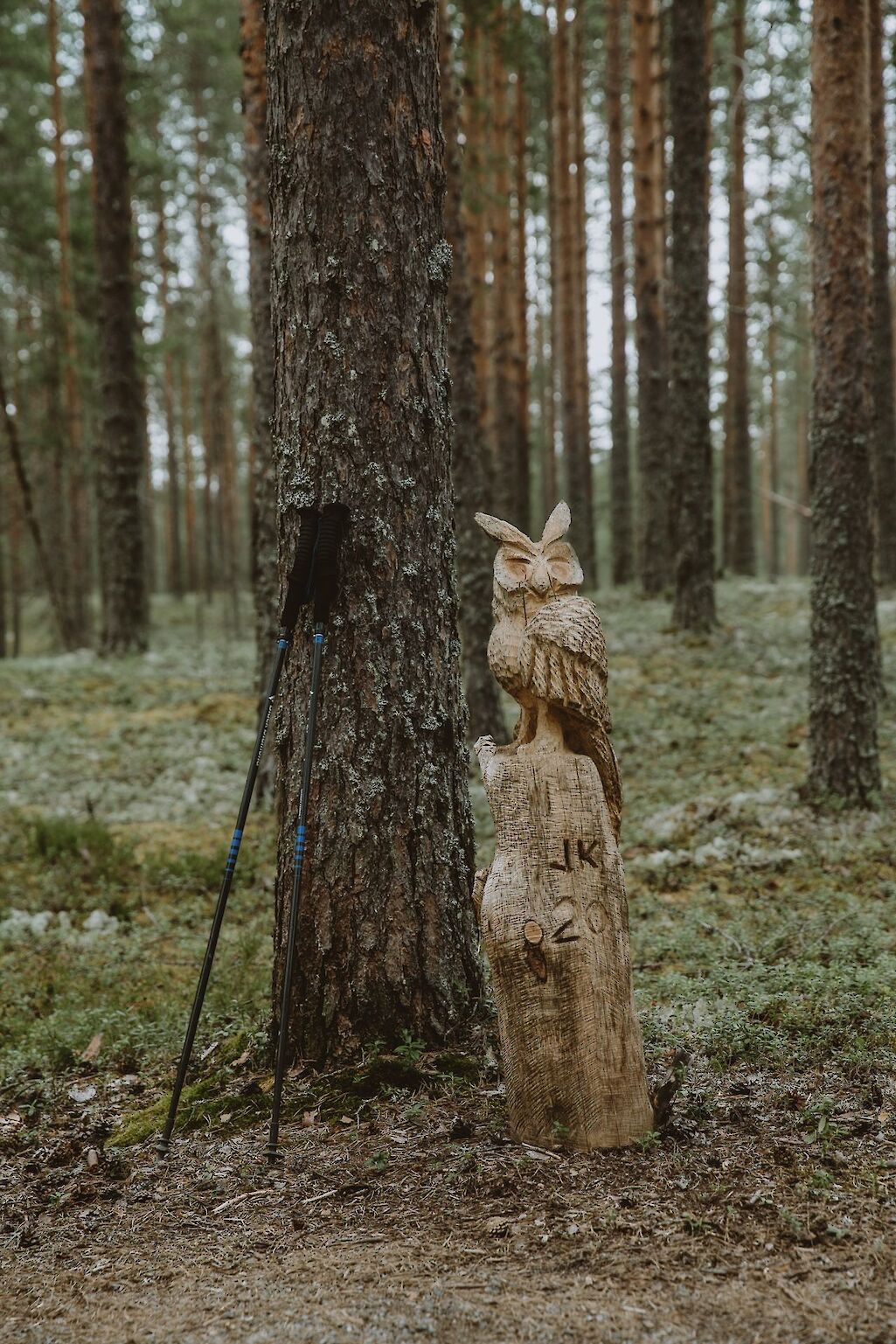 Explore Rokua National Park – Part of Finland’s UNESCO Geopark - In the ...