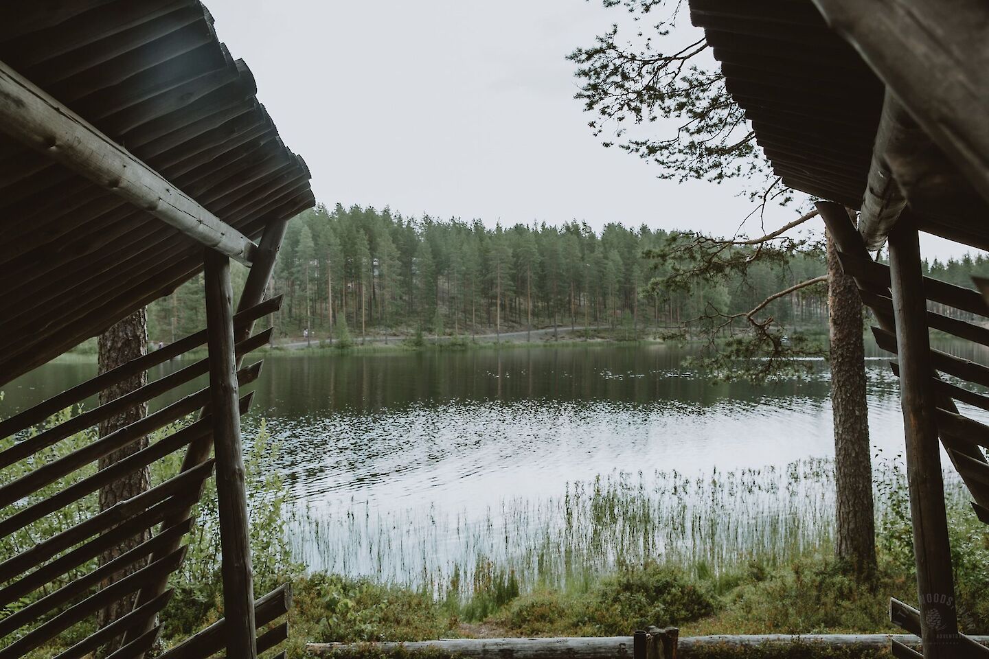 Explore Rokua National Park – Part of Finland’s UNESCO Geopark - In the ...