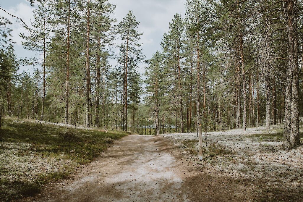 Explore Rokua National Park – Part of Finland’s UNESCO Geopark - In the ...