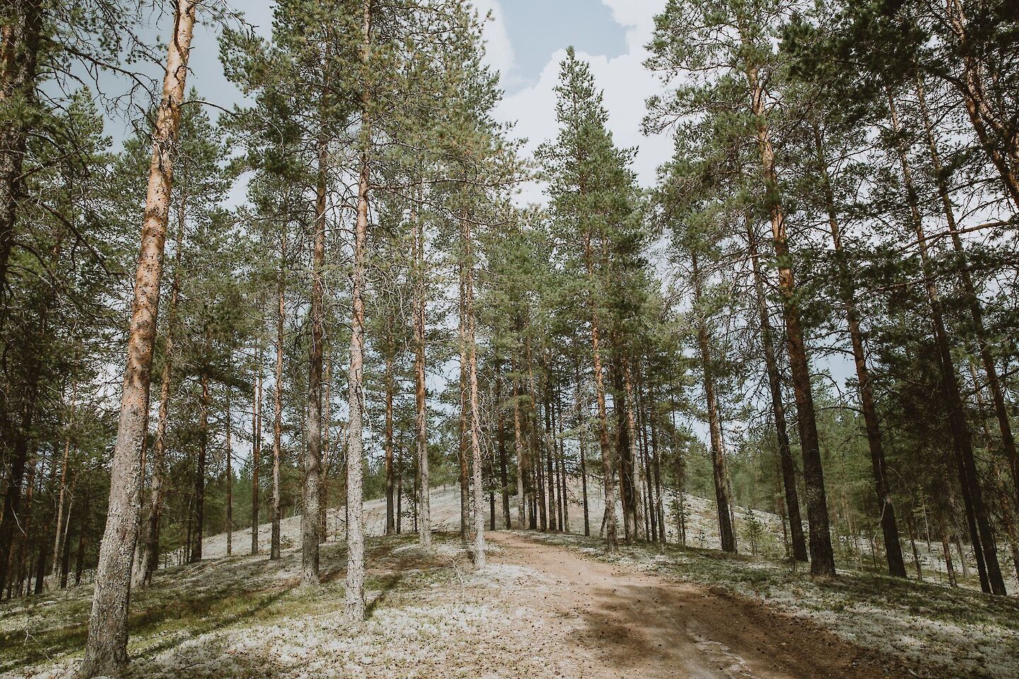 Explore Rokua National Park – Part of Finland’s UNESCO Geopark - In the ...