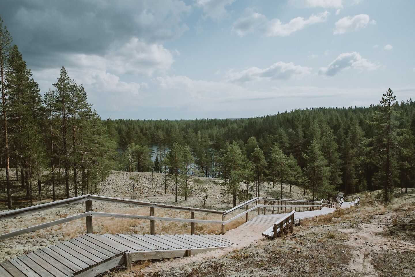 Explore Rokua National Park – Part of Finland’s UNESCO Geopark - In the ...