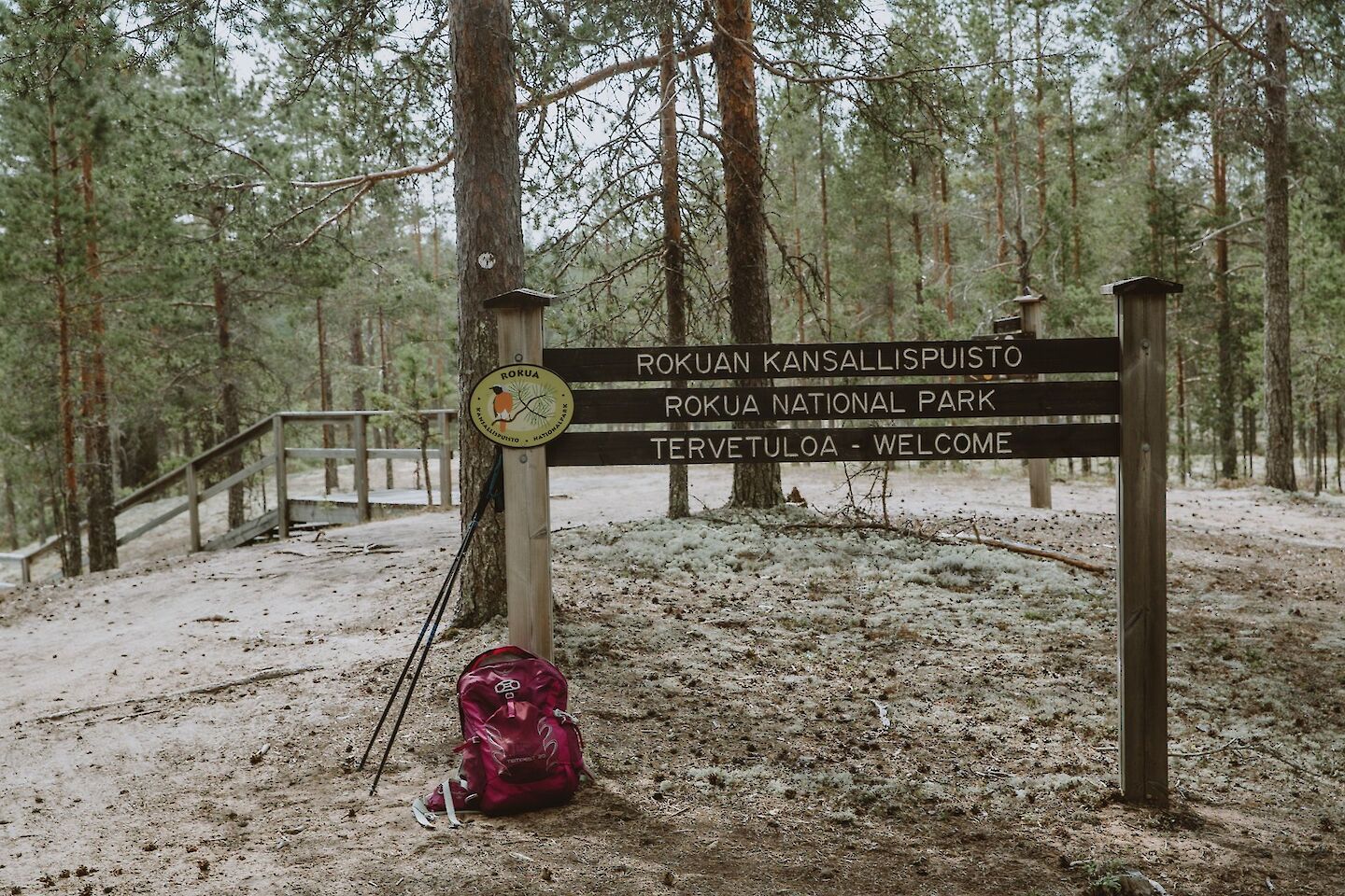Explore Rokua National Park – Part of Finland’s UNESCO Geopark - In the ...