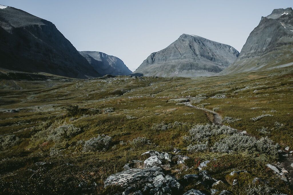 Kungsleden - Hiking Nikkaluokta-Abisko Trail - In the Woods, Dear