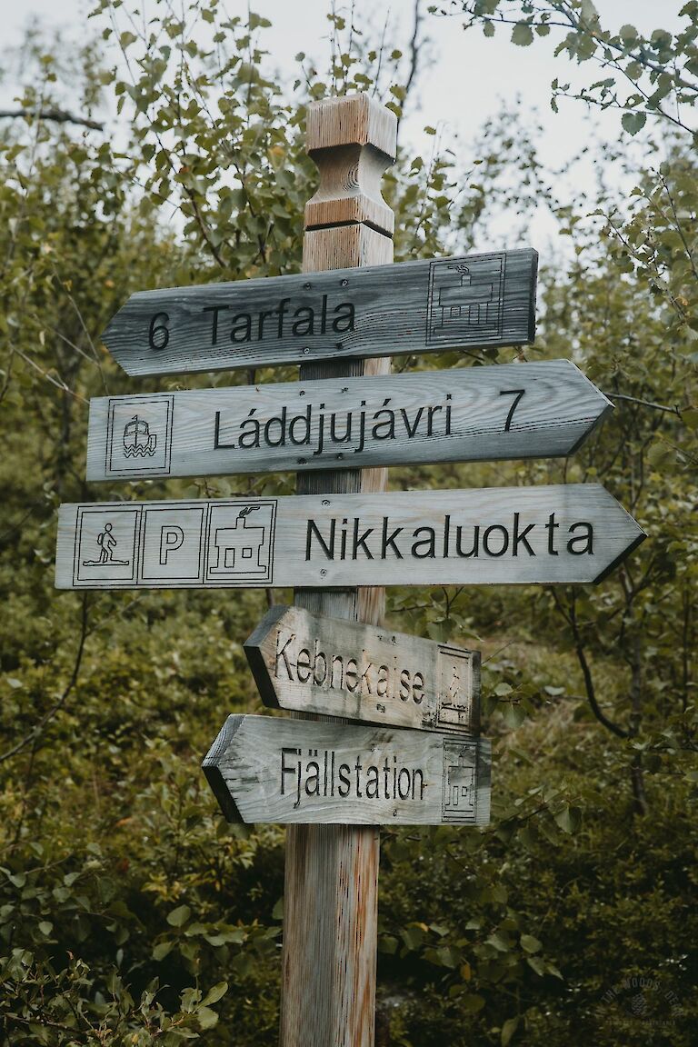 Kungsleden - Hiking Nikkaluokta-Abisko Trail - In the Woods, Dear