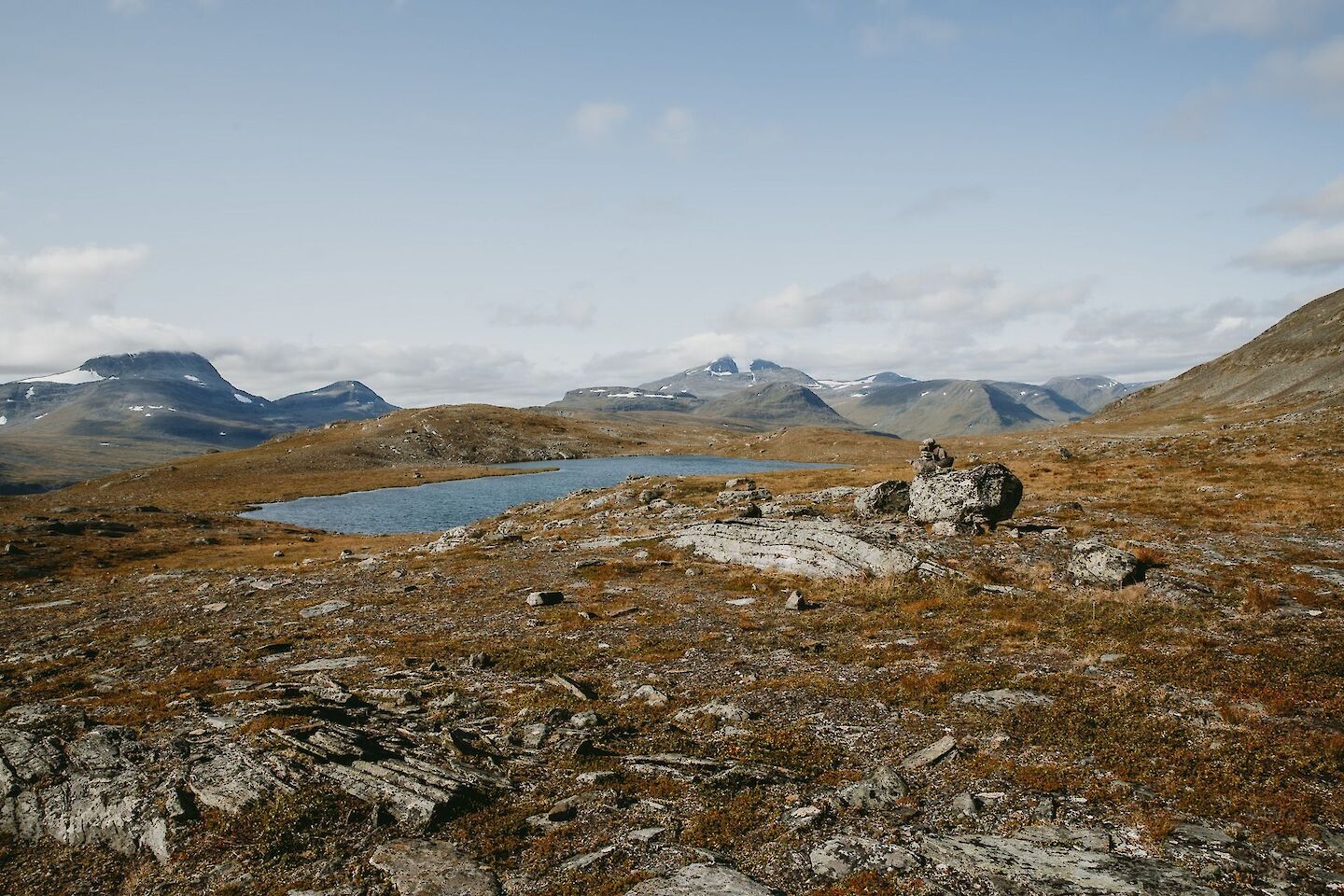 Kungsleden - Hiking Nikkaluokta-Abisko Trail - In the Woods, Dear