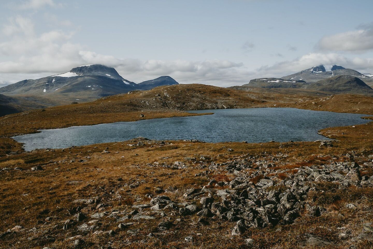 Kungsleden - Hiking Nikkaluokta-Abisko Trail - In the Woods, Dear