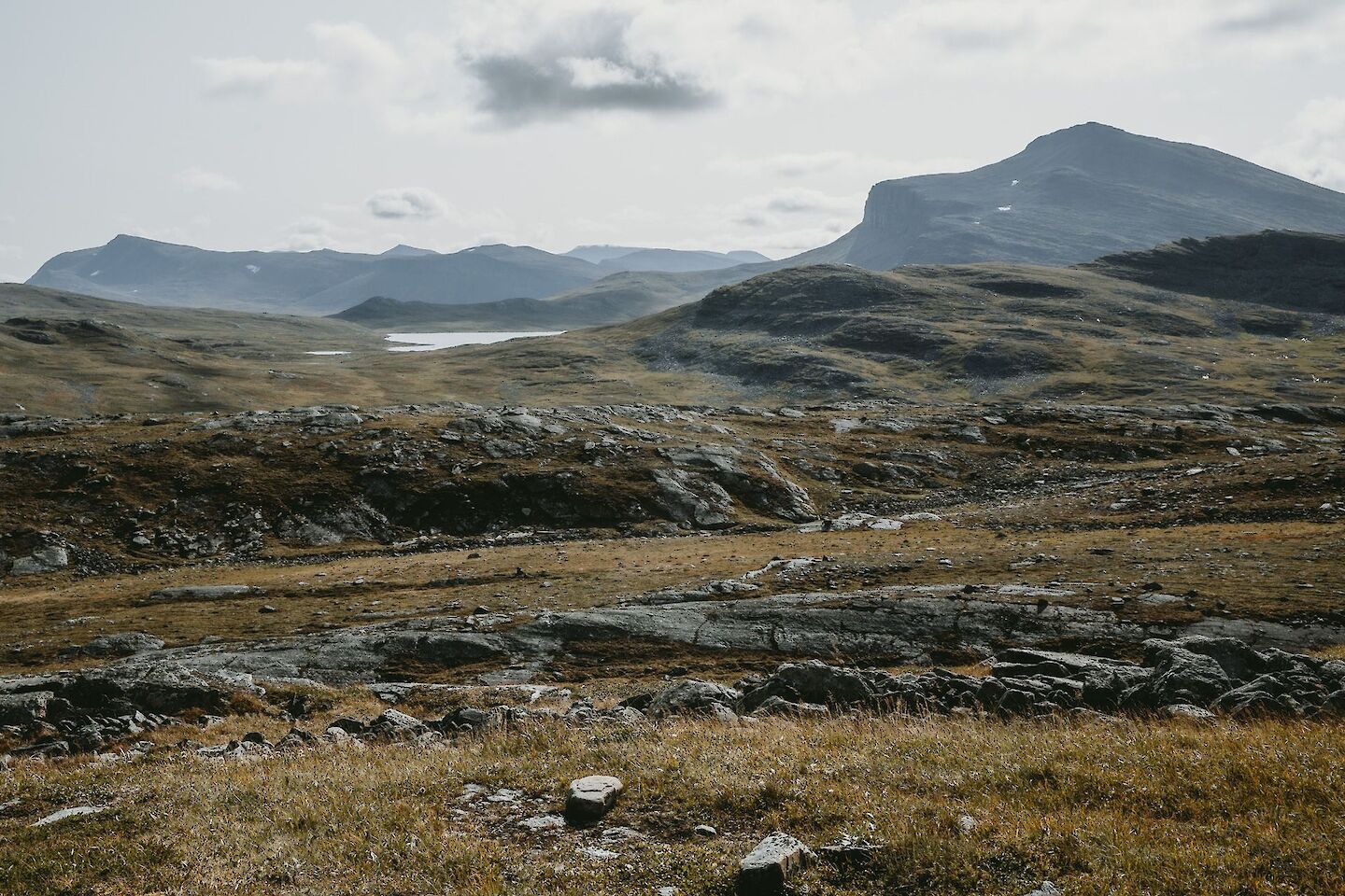 Kungsleden - Hiking Nikkaluokta-Abisko Trail - In the Woods, Dear