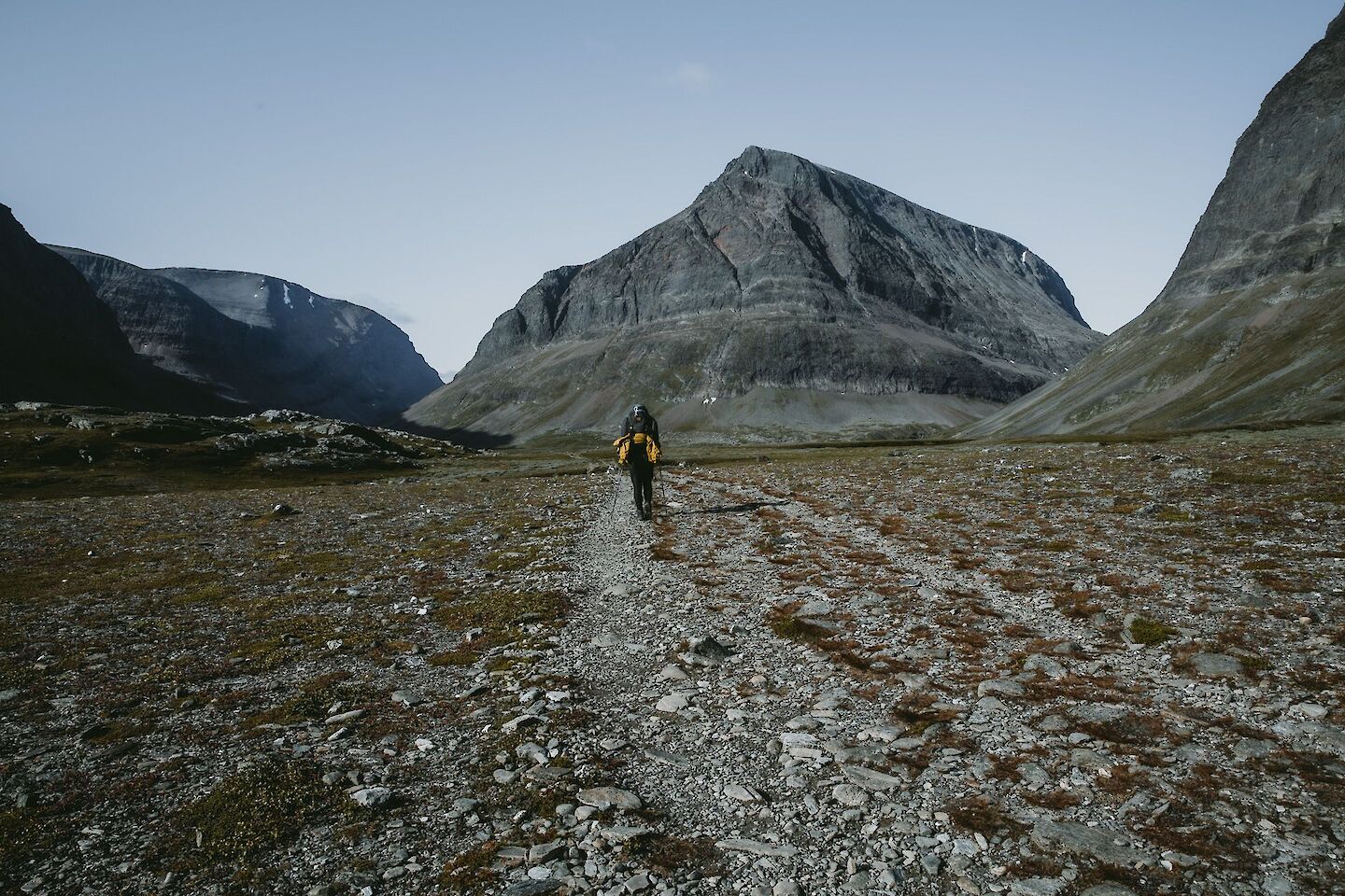 Kungsleden - Hiking Nikkaluokta-Abisko Trail - In the Woods, Dear