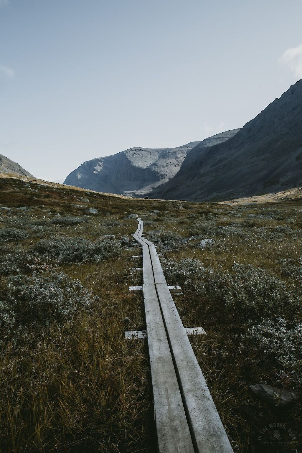 Kungsleden - Hiking Nikkaluokta-Abisko Trail - In the Woods, Dear