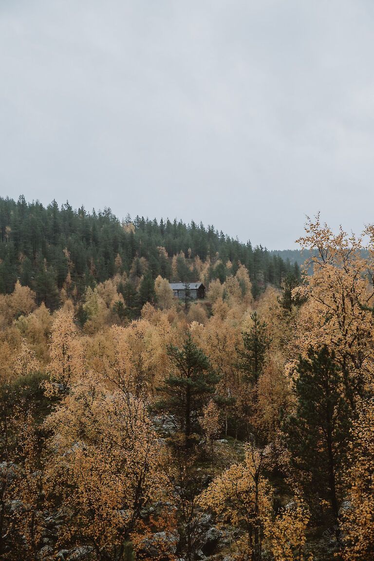 Hiking and Fishing in Lapland - Hammastunturi Wilderness - In the Woods ...