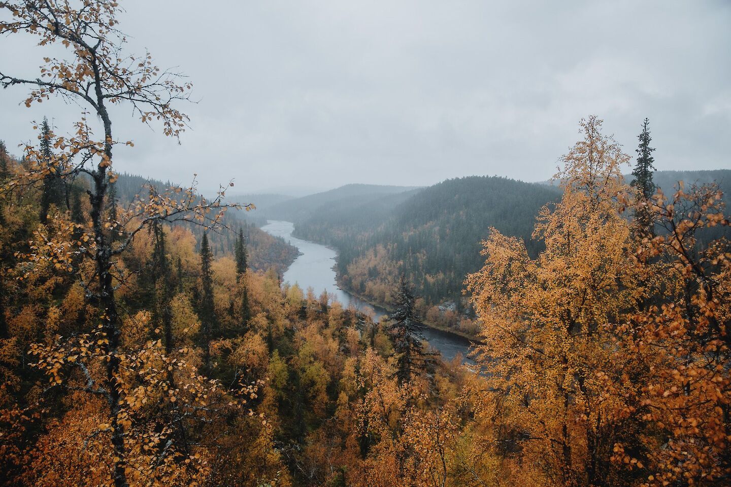 Hiking and Fishing in Lapland - Hammastunturi Wilderness - In the Woods ...