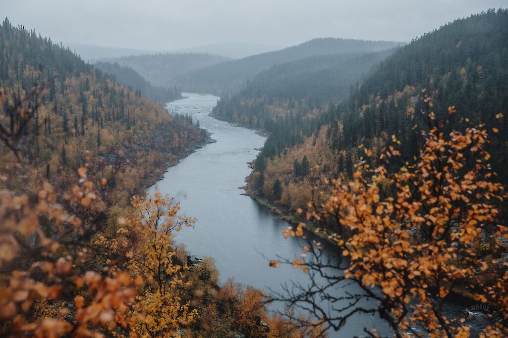 Hiking and Fishing in Lapland - Hammastunturi Wilderness - In the Woods ...