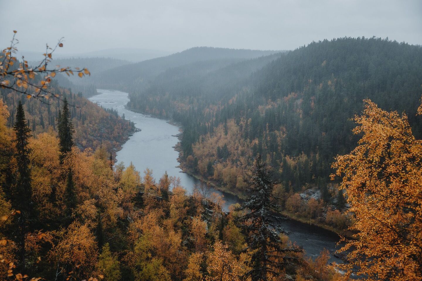 Hiking and Fishing in Lapland - Hammastunturi Wilderness - In the Woods ...