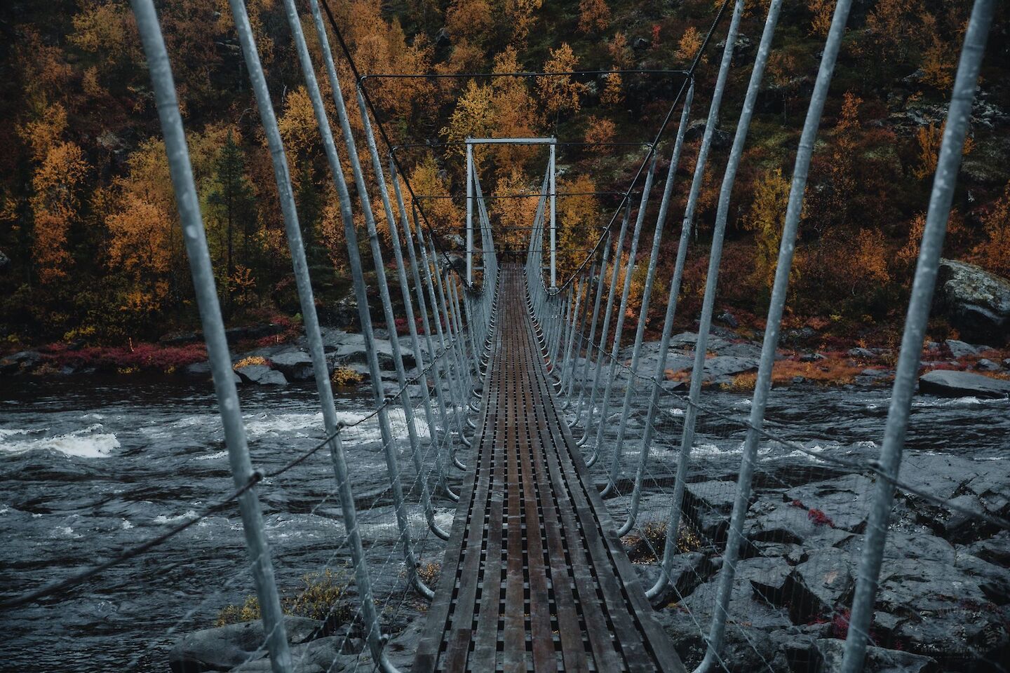 Hiking and Fishing in Lapland - Hammastunturi Wilderness - In the Woods ...