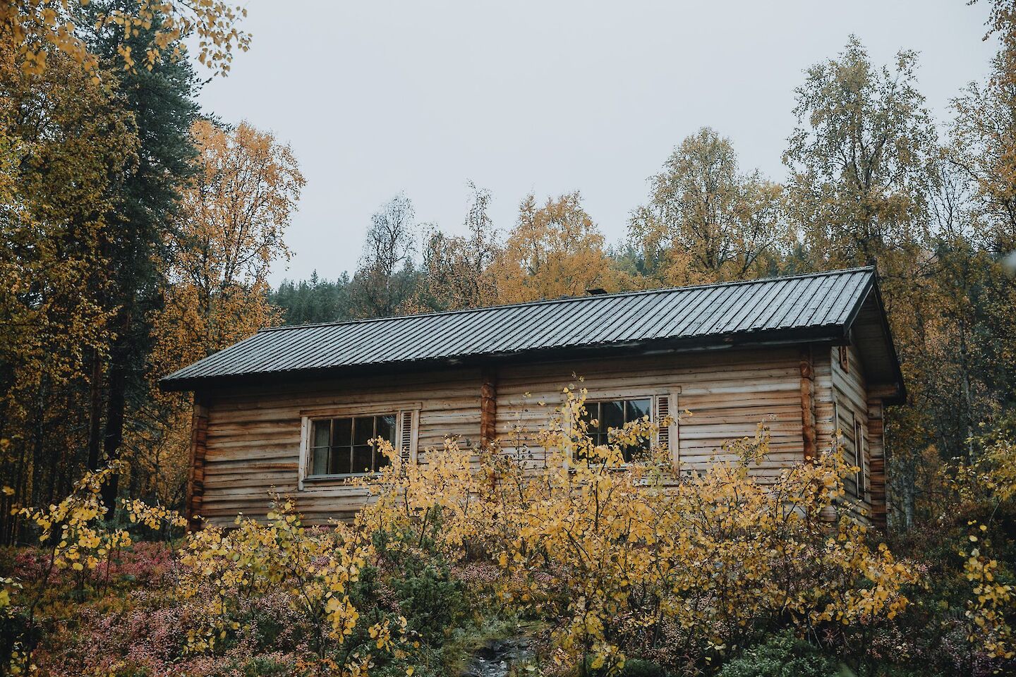 Hiking and Fishing in Lapland - Hammastunturi Wilderness - In the Woods ...