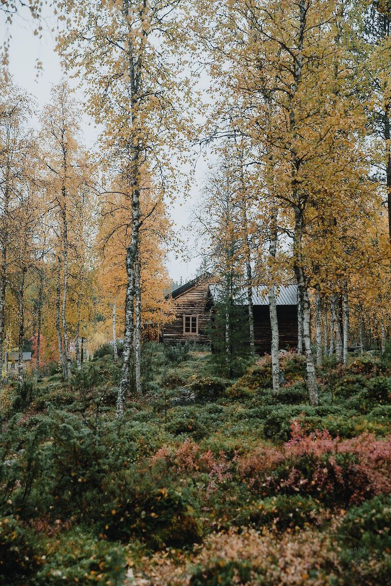 Hiking and Fishing in Lapland - Hammastunturi Wilderness - In the Woods ...