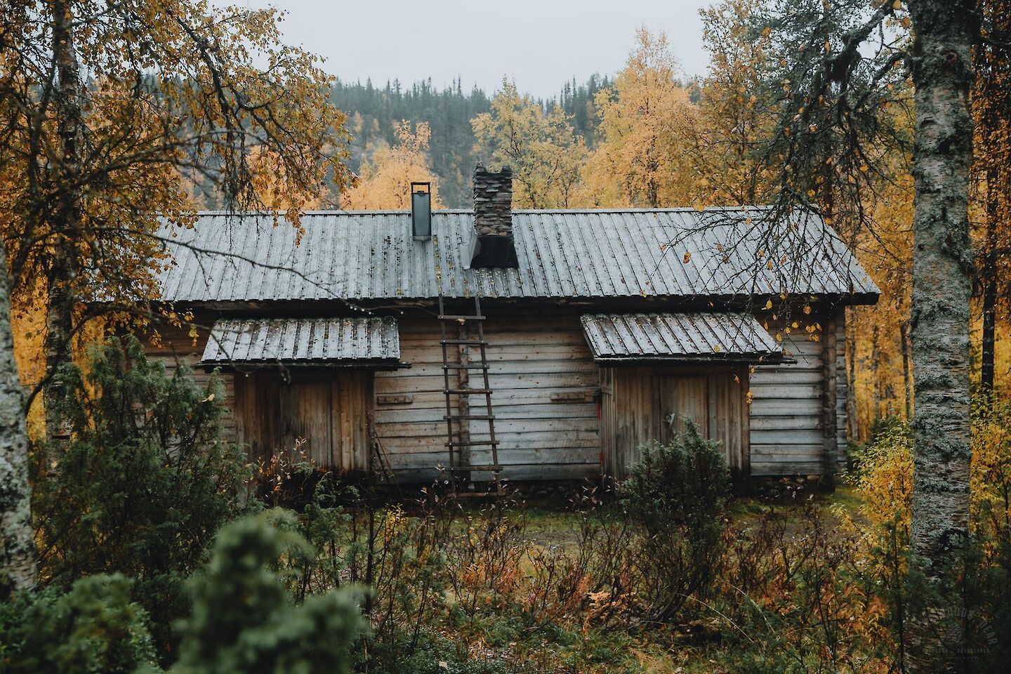 Hiking and Fishing in Lapland - Hammastunturi Wilderness - In the Woods ...