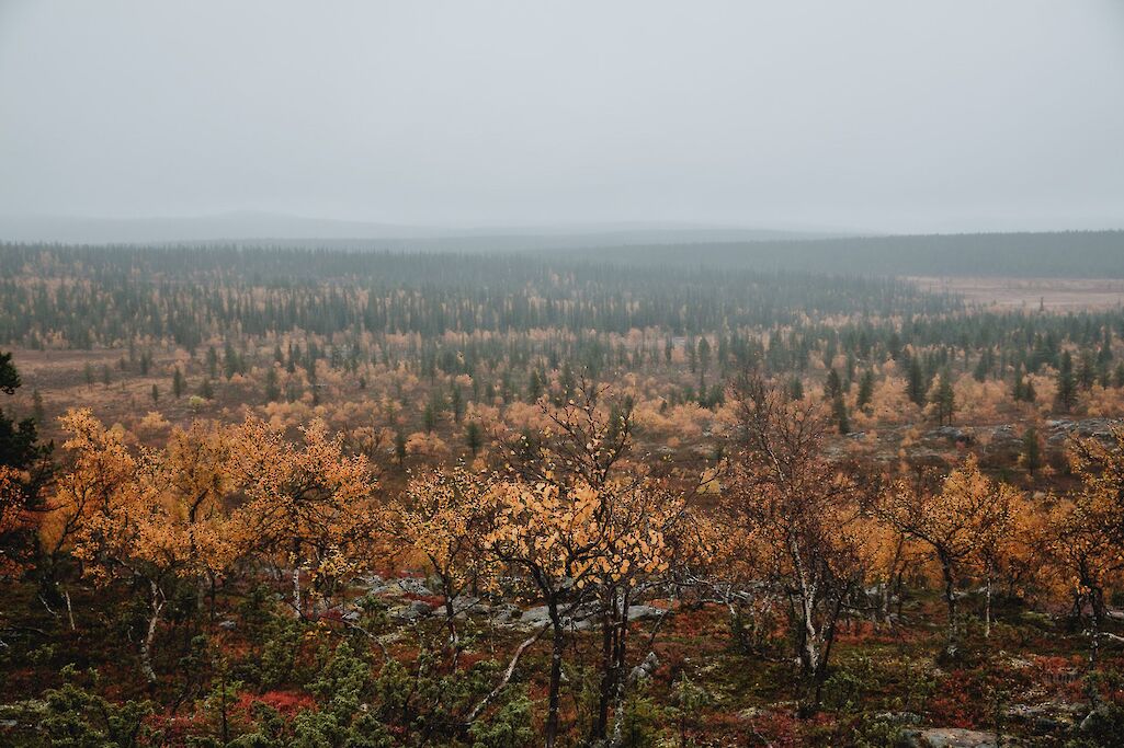 Hiking and Fishing in Lapland - Hammastunturi Wilderness - In the Woods ...