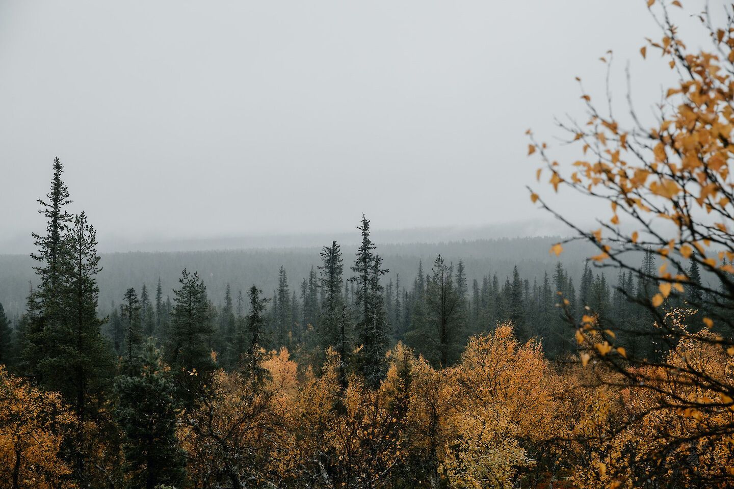 Hiking and Fishing in Lapland - Hammastunturi Wilderness - In the Woods ...