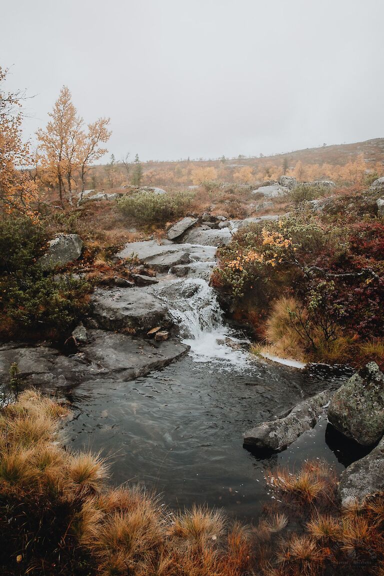 Hiking and Fishing in Lapland - Hammastunturi Wilderness - In the Woods ...