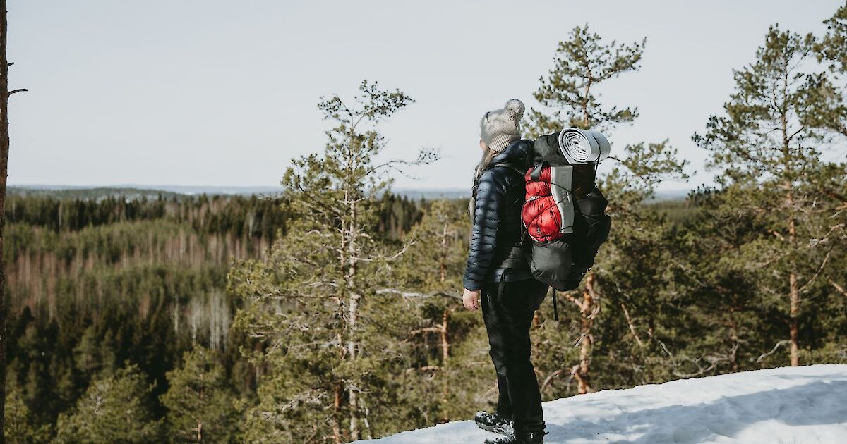Repovesi National Park in Winter – Snowy Forests and Silence - In the ...