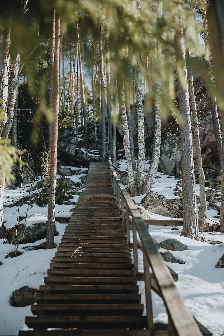 Repovesi National Park in Winter – Snowy Forests and Silence - In the ...