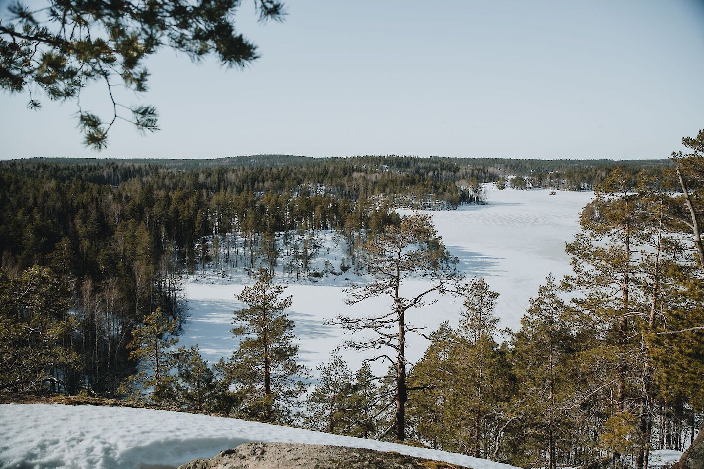 Repovesi National Park in Winter – Snowy Forests and Silence - In the ...
